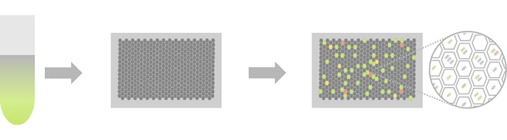 Applications & Solutions - Genomics - PCR set-up