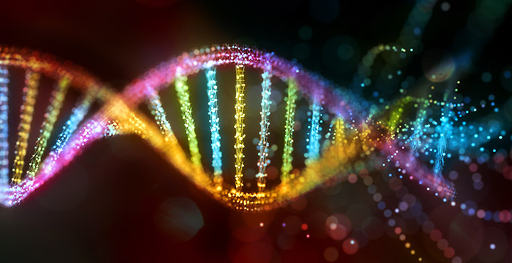 Applications & Solutions - Genomics - Automated NGS library preparation